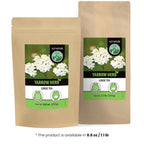 yarrow tea for soothing effects