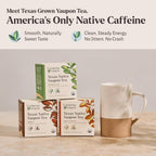 Yaupon tea for herbal detox
