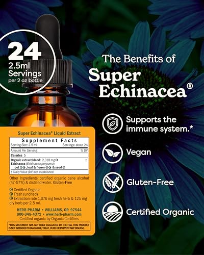 year-round echinacea herbal supplement