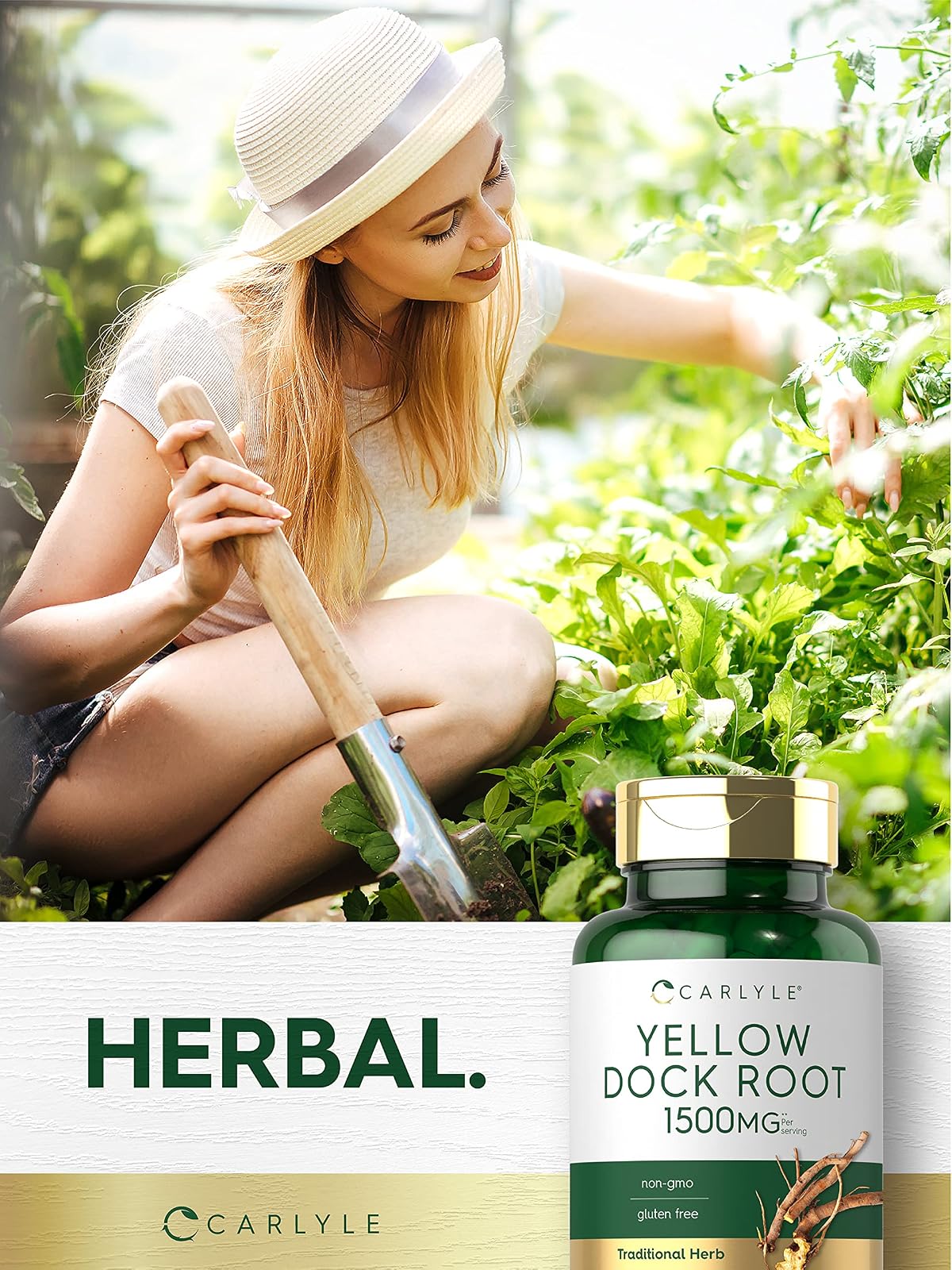 Yellow Dock root for wellness