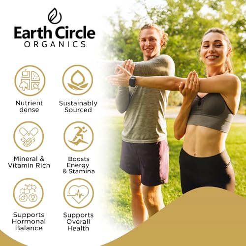 Yellow Maca Root Powder for hormonal balance