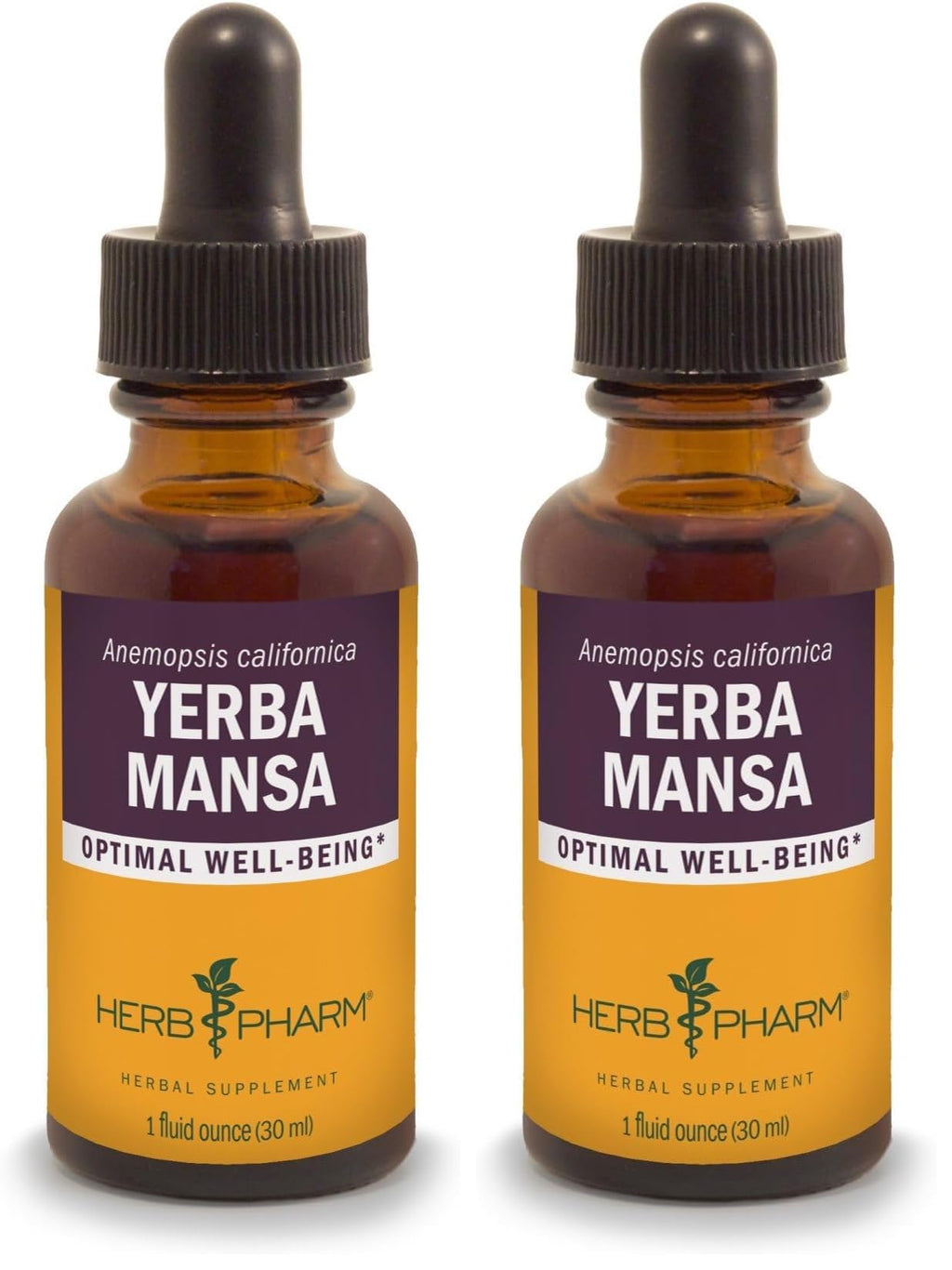 Yerba Mansa root extract benefits