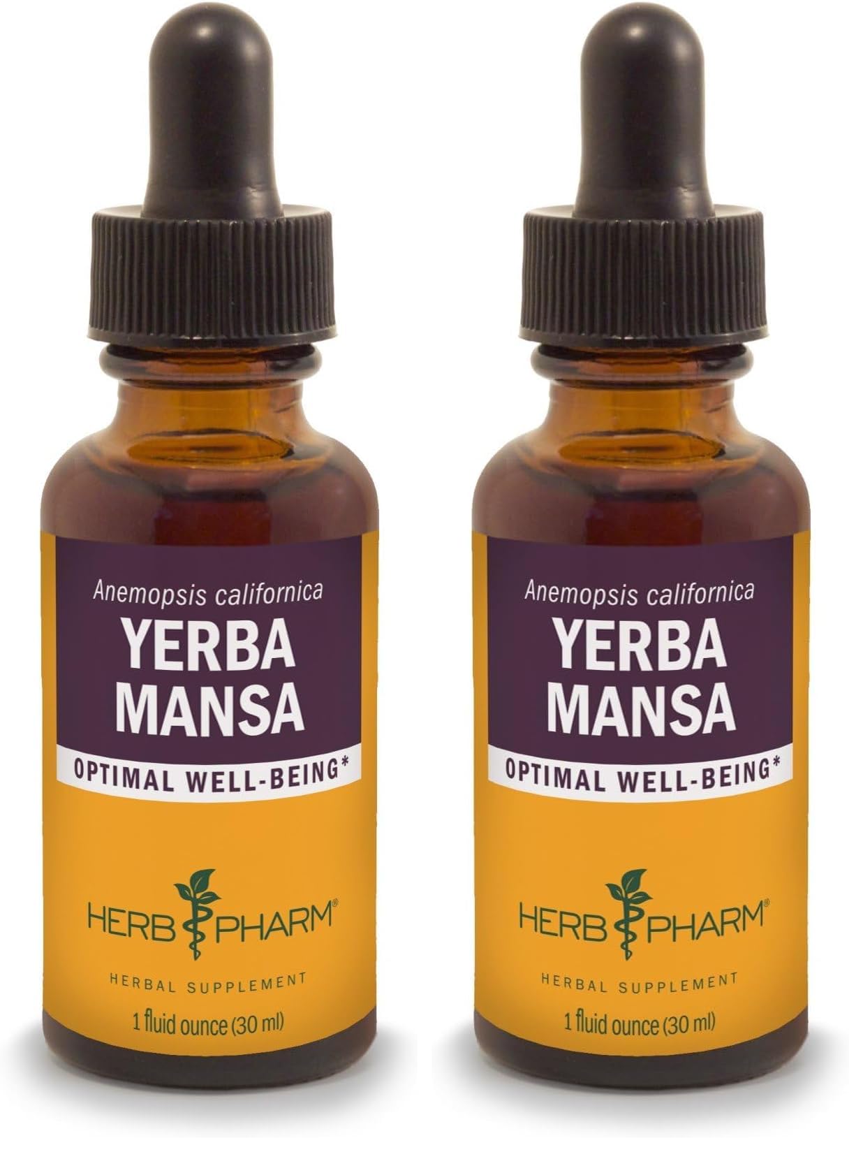 Yerba Mansa root extract benefits