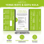 Yerba mate and gotu kola infusion
