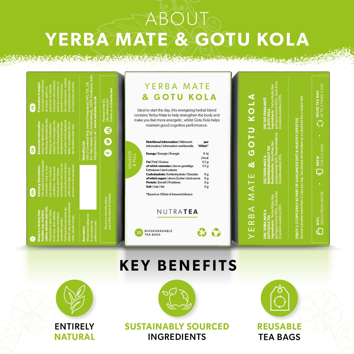 Yerba mate and gotu kola infusion