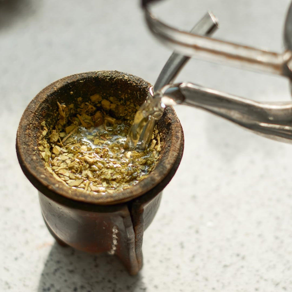 yerba mate capsules for daily use