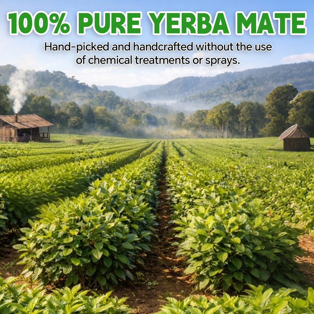 Yerba Mate tea bags for detox