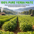 Yerba Mate tea bags for detox