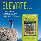 yerba mate tea for social gatherings