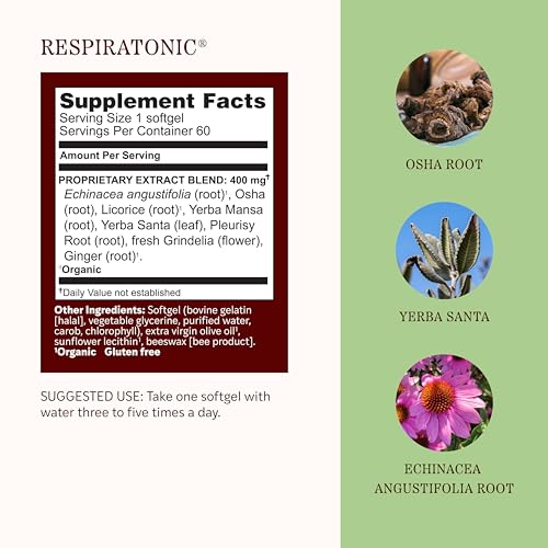 yerba santa respiratory benefits