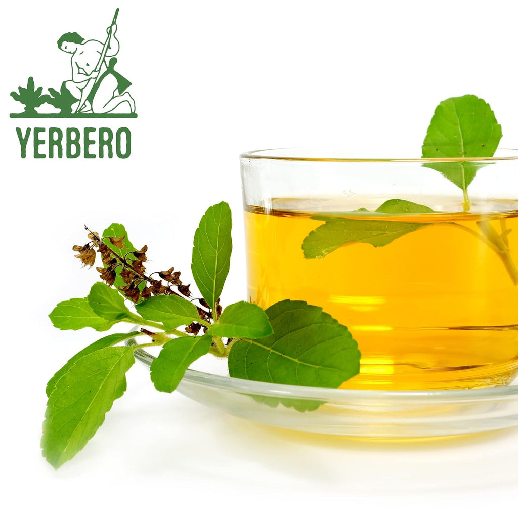 Yerbero calming Holy Basil blend