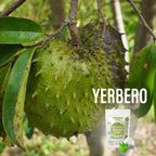 Yerbero herbal infusion for relaxation