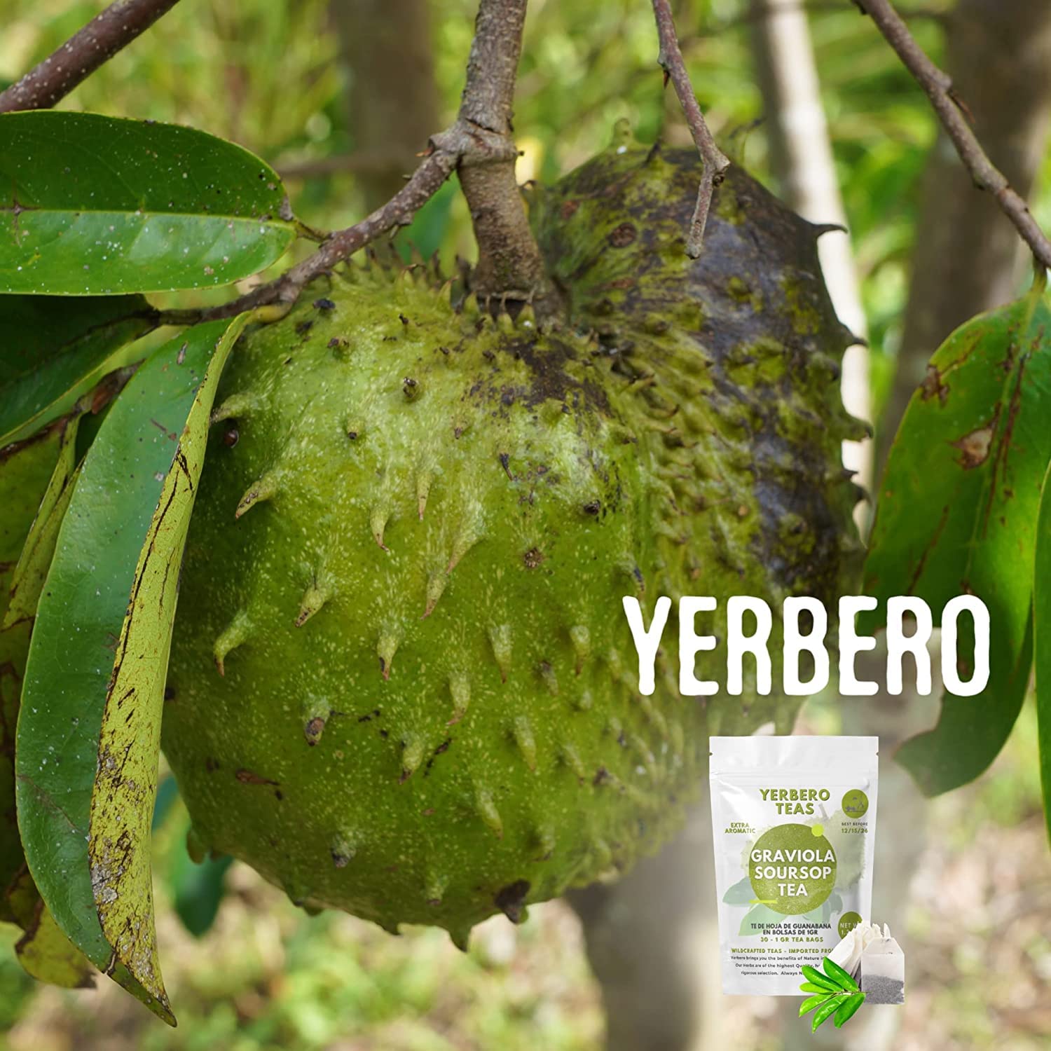 Yerbero herbal infusion for relaxation