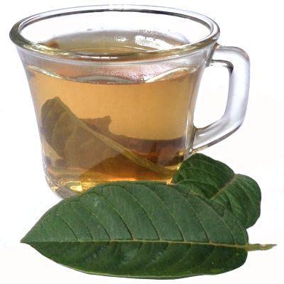Yerbero herbal tea for relaxation
