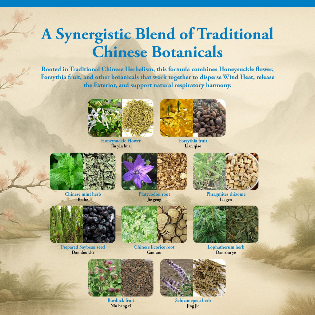 Yin Qiao tablets for immune support