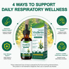 YLdamai mullein tincture for wellness