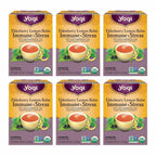 Yogi elderberry lemon balm herbal tea