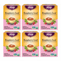 Yogi raspberry leaf herbal tea bags
