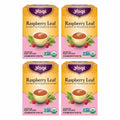 Yogi raspberry leaf herbal tea bags