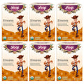 Yogi S'mores tea with cinnamon