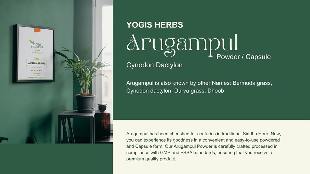 YOGIS HERBS Arugampul Powder quality