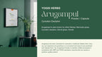 YOGIS HERBS Arugampul Powder quality