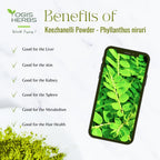 YOGIS HERBS Keezhanelli detox powder