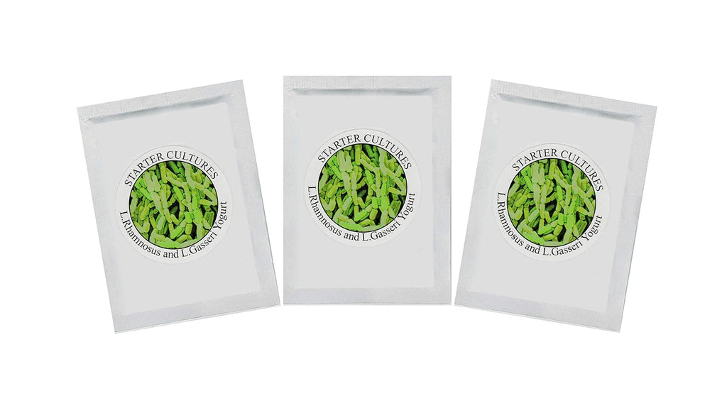Yogurt starter for homemade probiotics