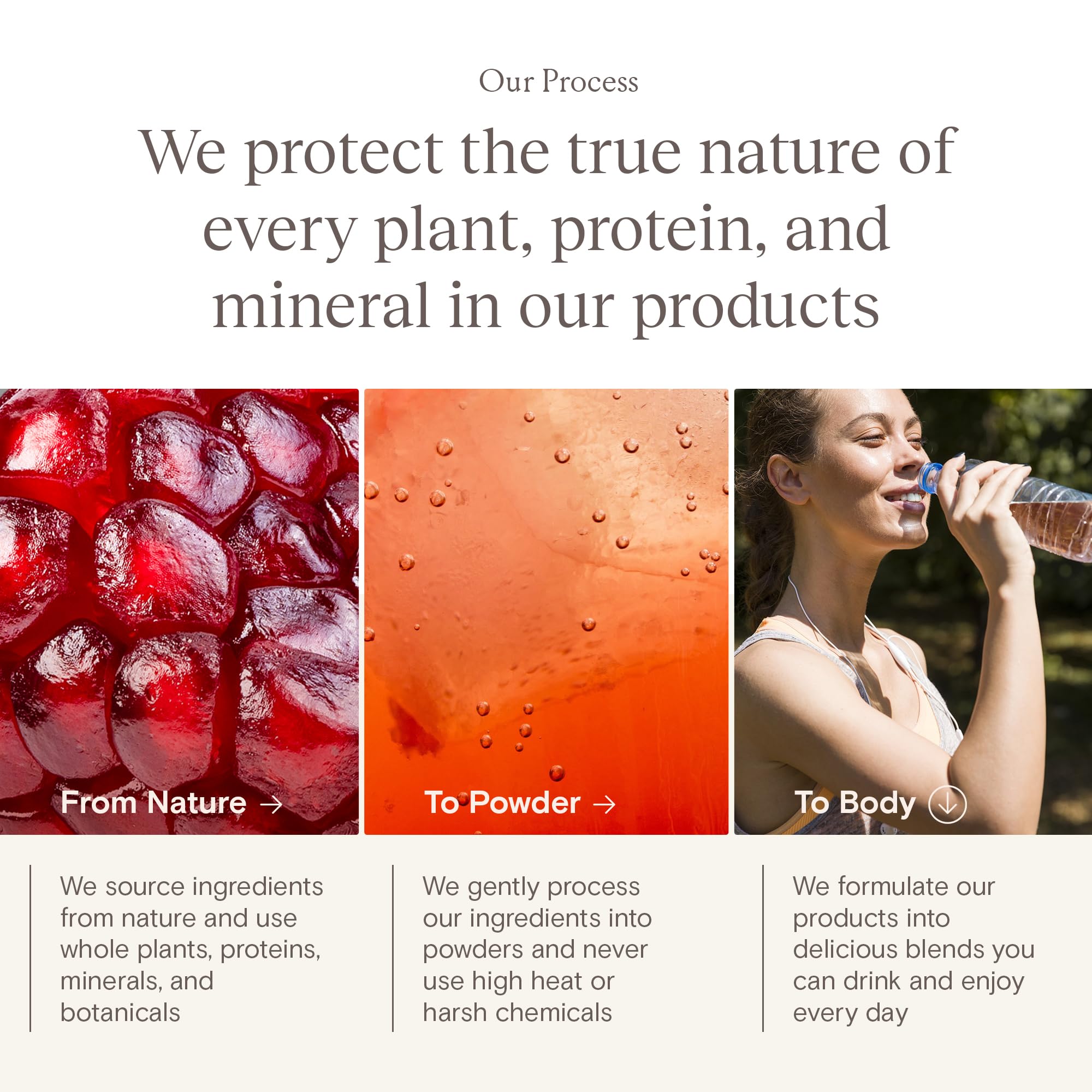 Yoli antioxidant supplements for daily use
