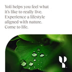 Yoli Defend 60 capsules for wellness