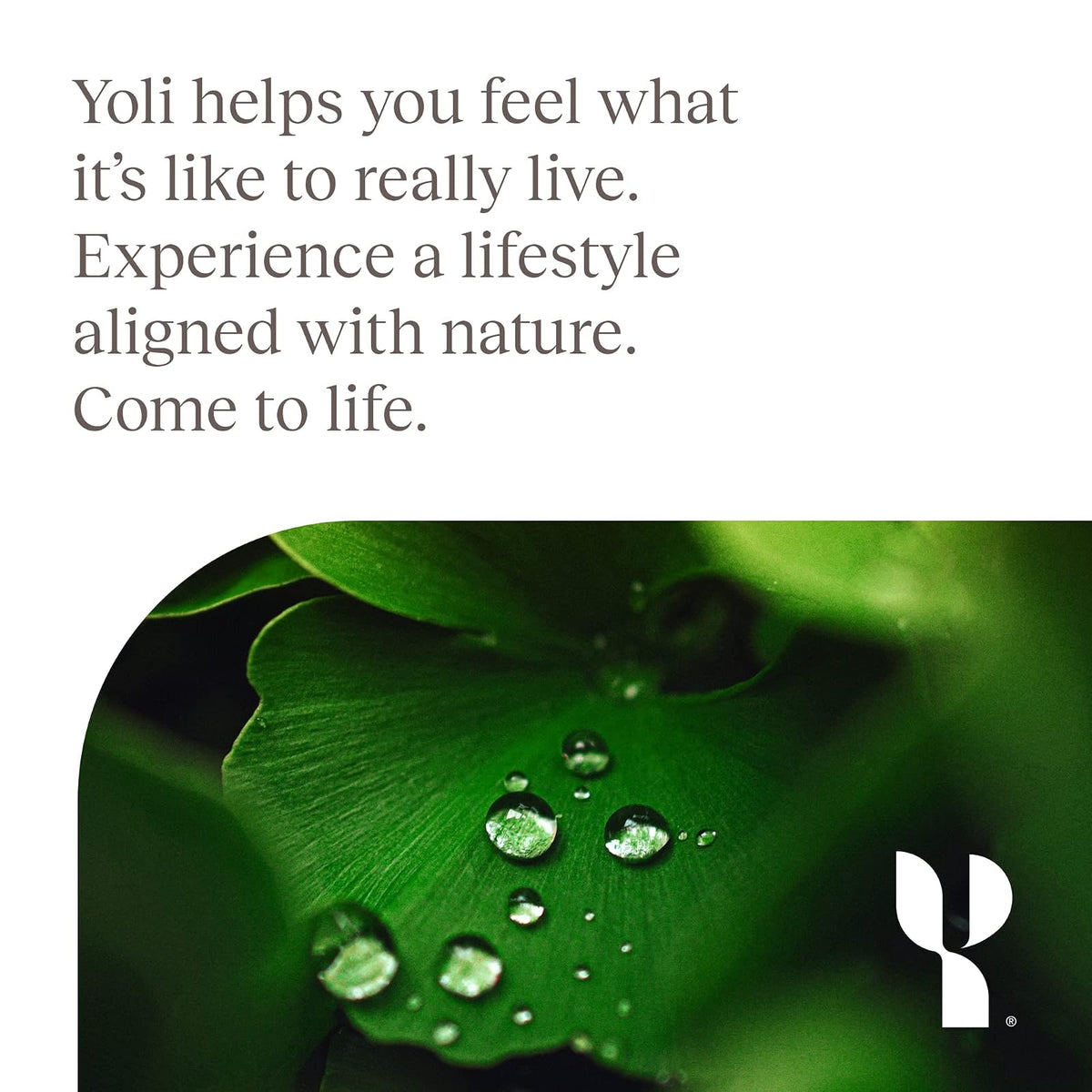 Yoli Defend 60 capsules for wellness
