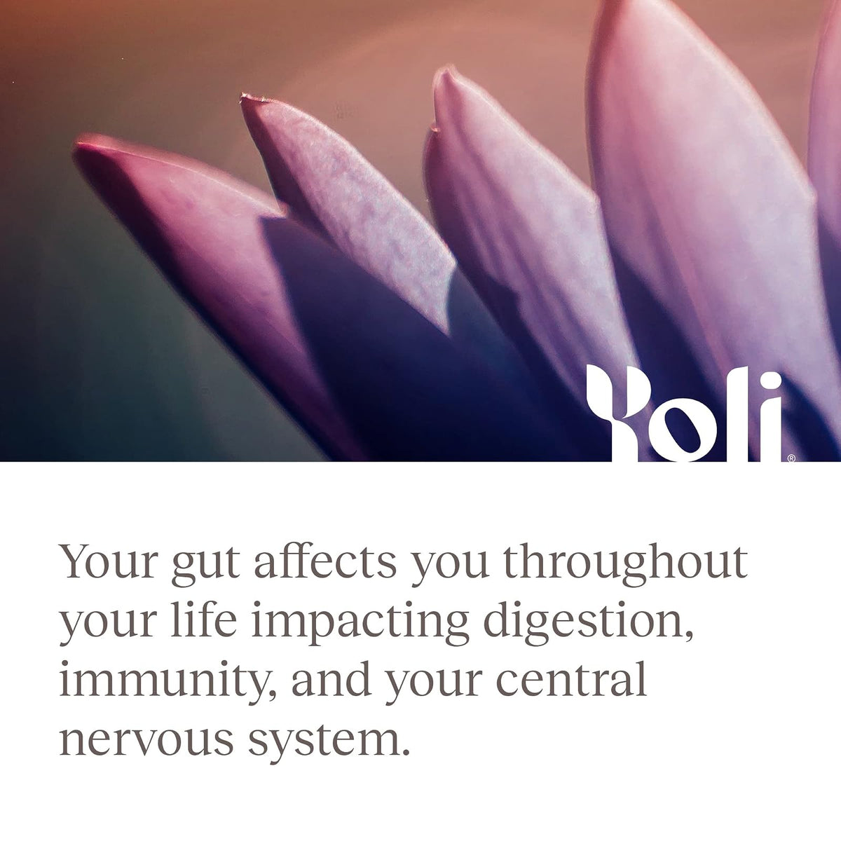 Yoli Pure Probiotics for gut balance