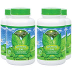 Youngevity calcium magnesium supplement pack
