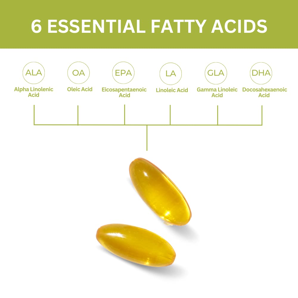 Youngevity EFA Plus supplement benefits