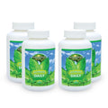 Youngevity multivitamins for daily health