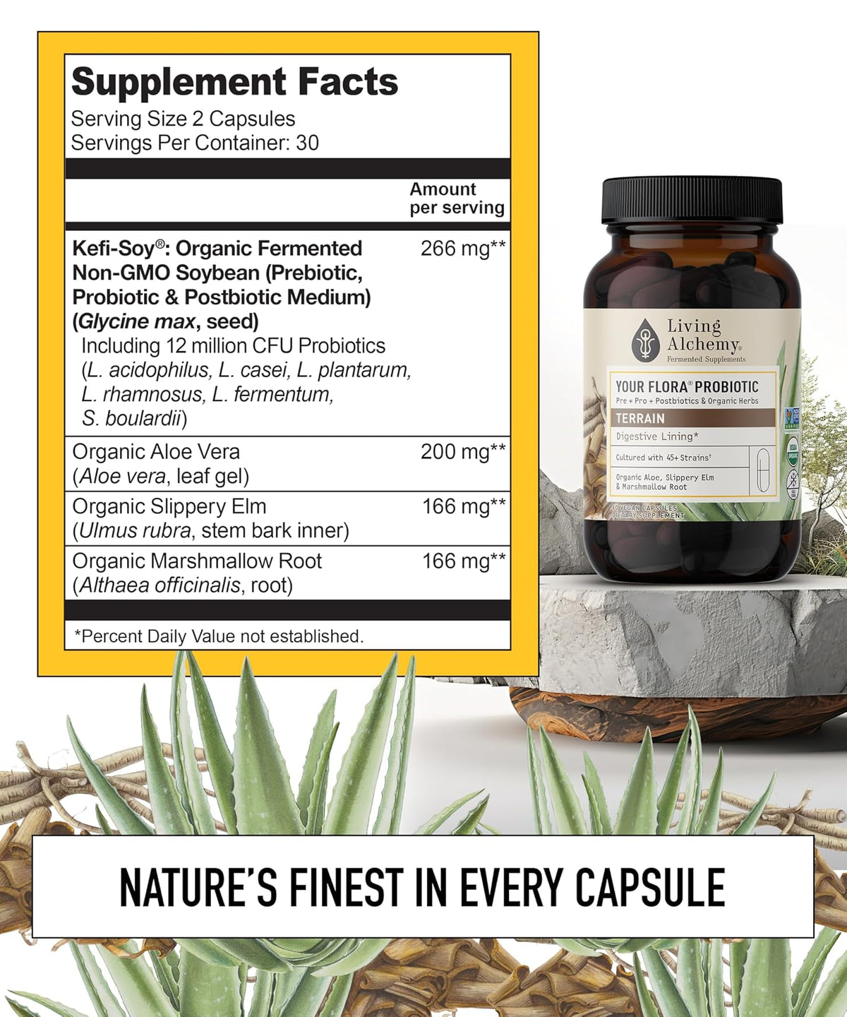Your Flora probiotic terrain for gut health