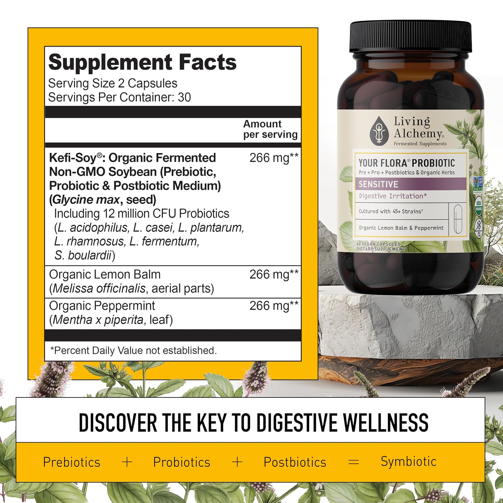 Your Flora probiotics for digestive health