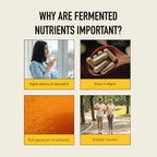 Your Flora probiotics for immune support