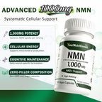 Your Nutritionist Vitamin B3 supplement