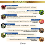youth multivitamins for improved concentration