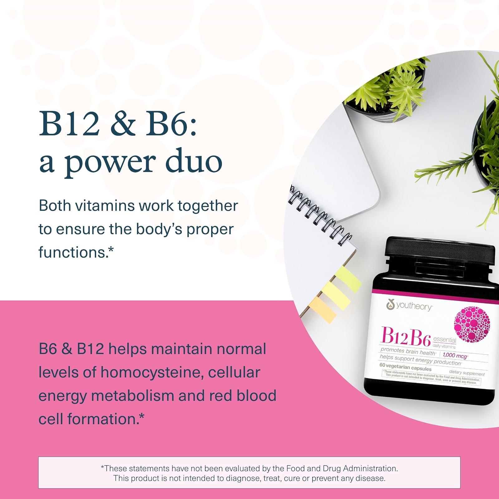 Youtheory B12 B6 health benefits