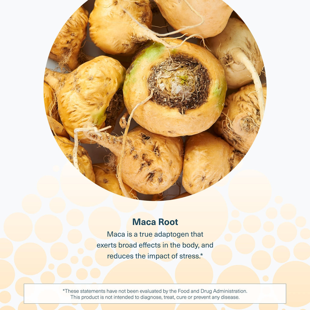 Youtheory maca root for active lifestyle