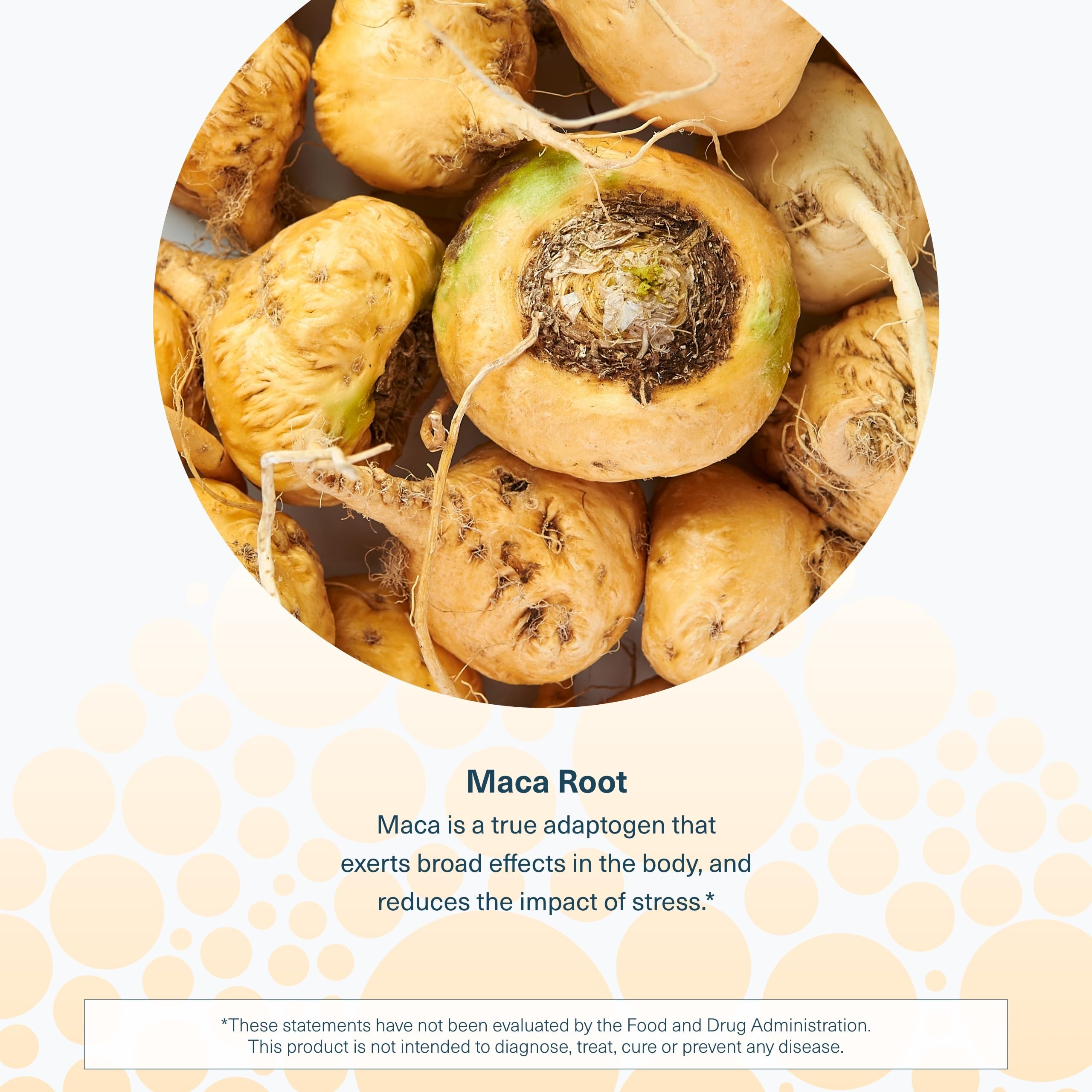 Youtheory maca root for active lifestyle