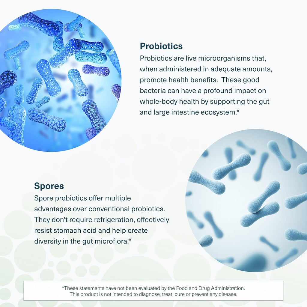 Youtheory probiotics for men’s wellness