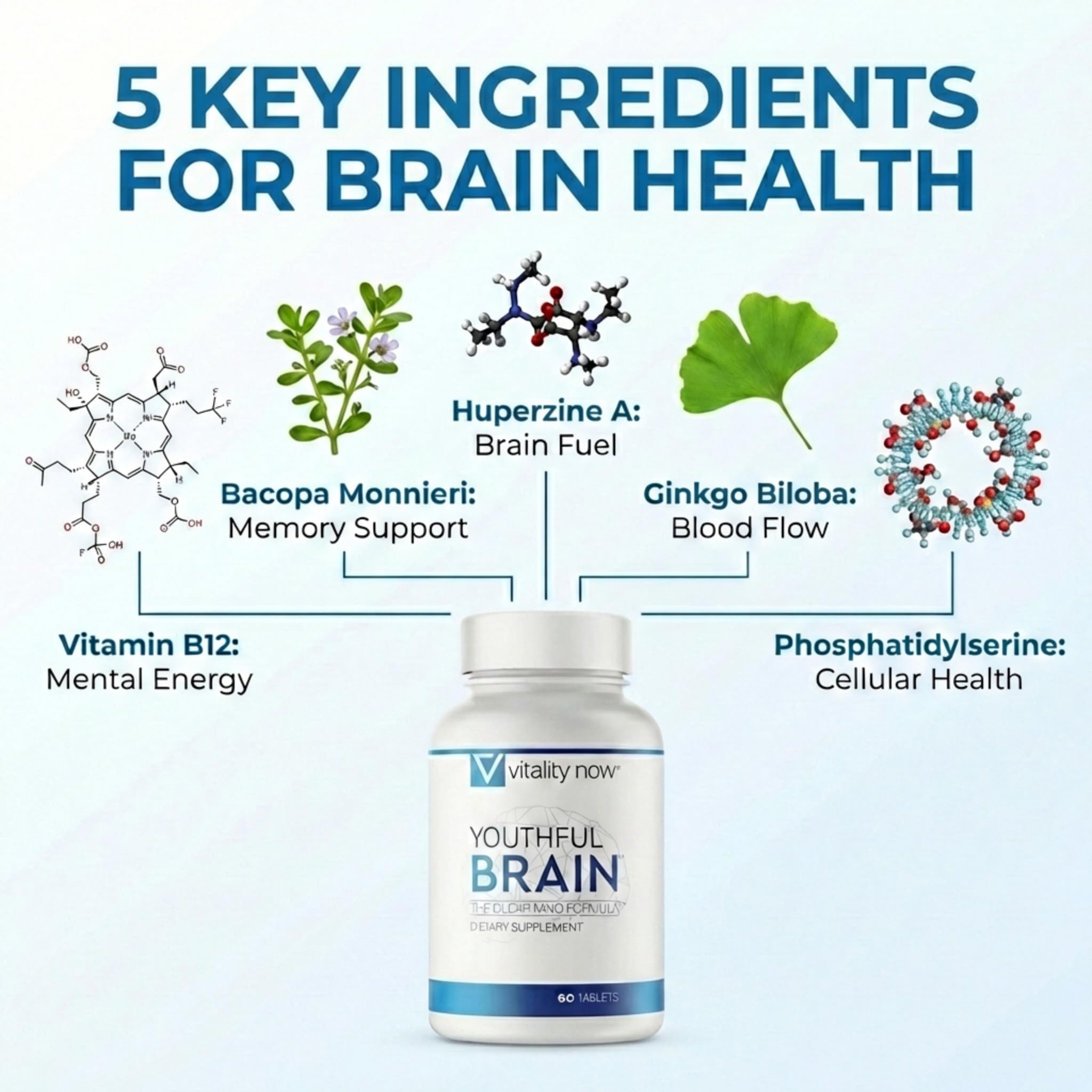 Youthful Brain Ginkgo Biloba for focus