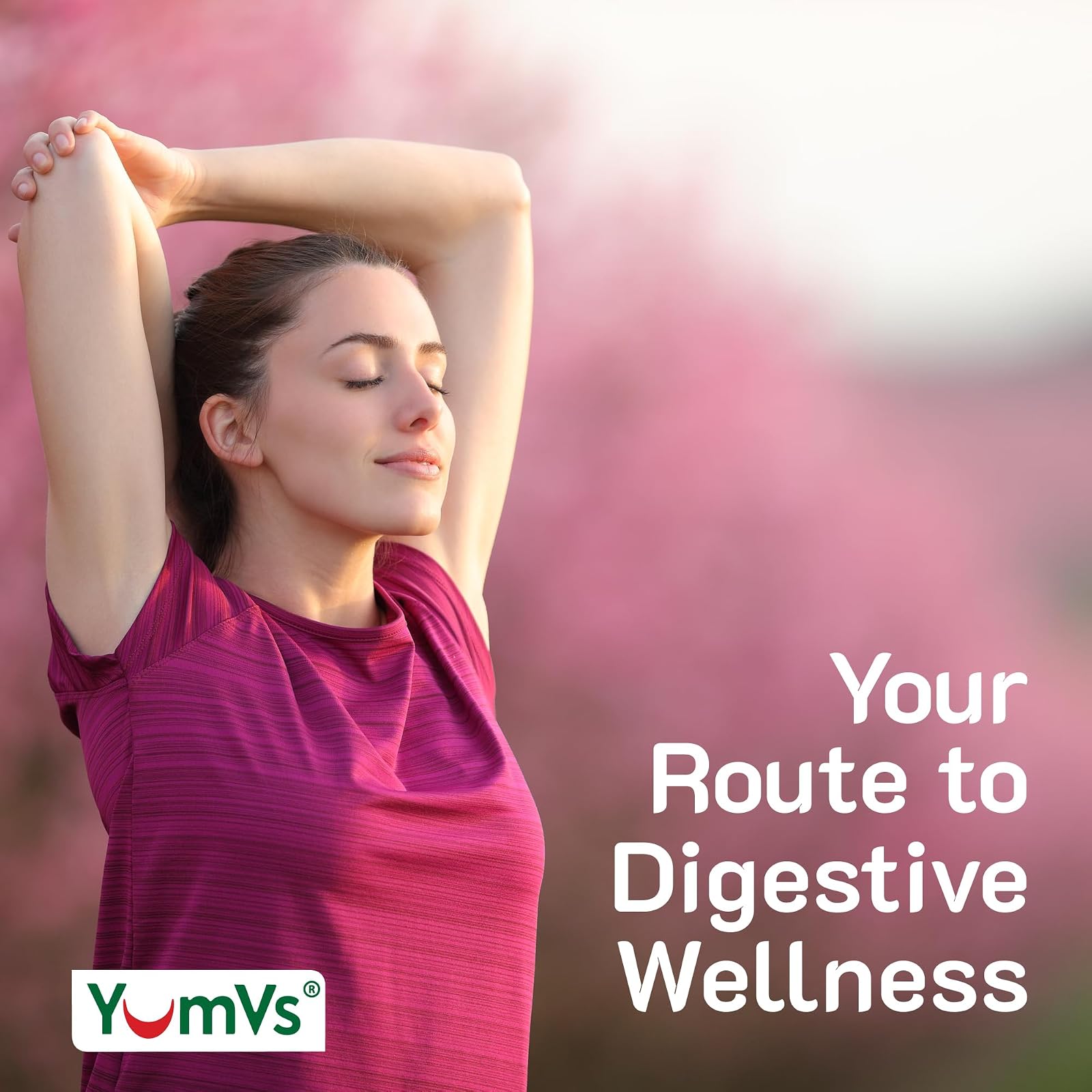 YUM-V's gummies for gut health