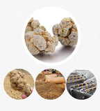 Yunnan Tienchi ginseng for immune support