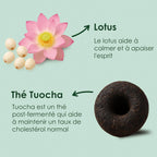 Yunnan Tuocha lotus tea benefits