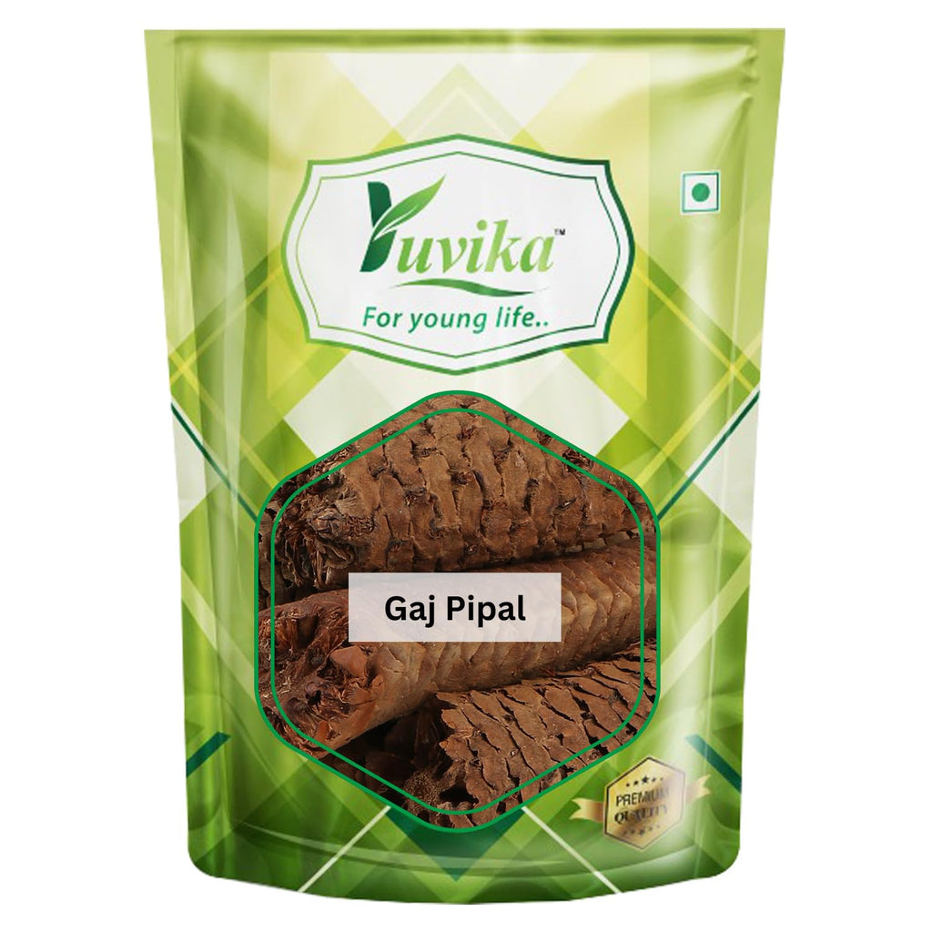 YUVIKA Gaj Pipal stinging nettle benefits