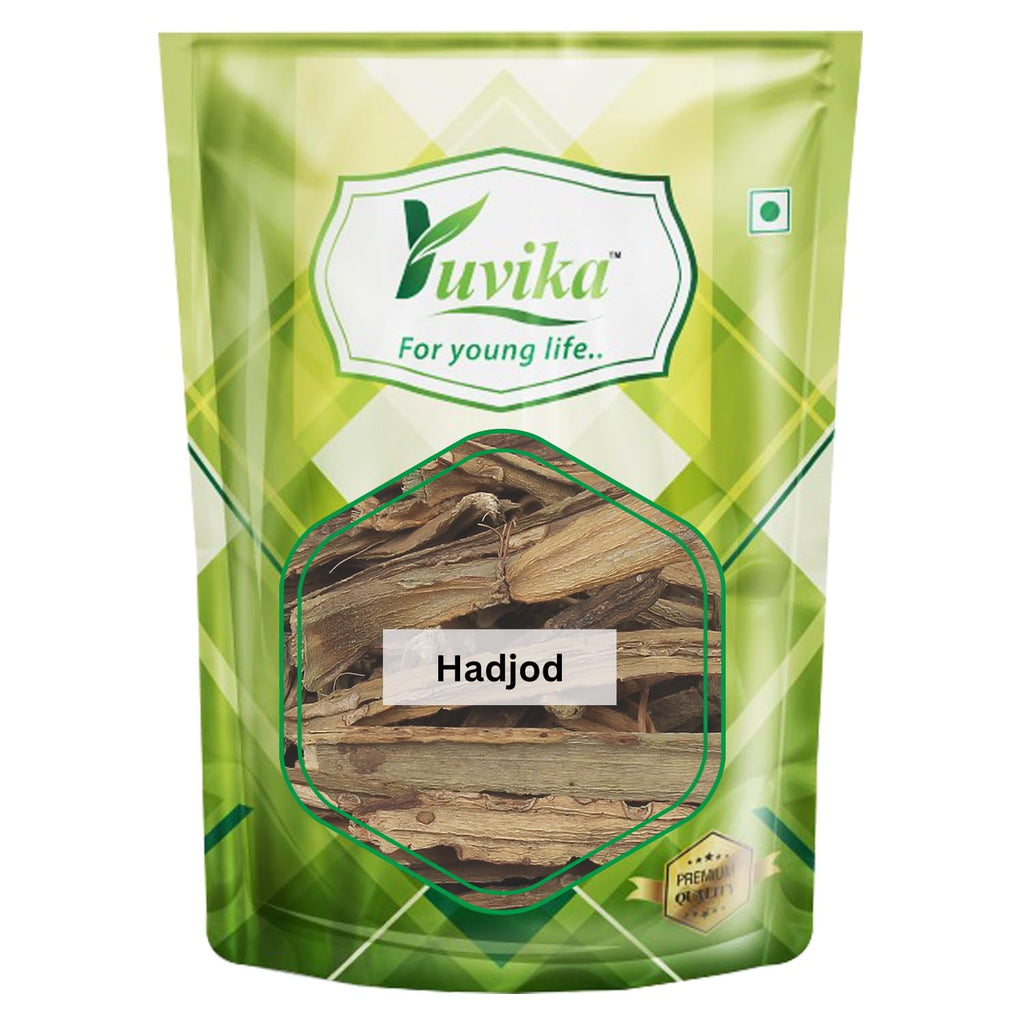 YUVIKA Hadjod Cissus Quadrangularis benefits